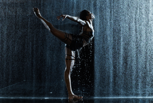 Gallery | Ebony Williams